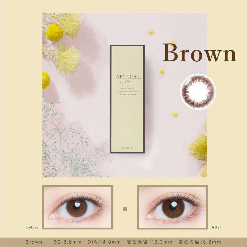Brown | 1day 10 lenses DIA 14.0mm - ARTIRAL UV & Moist | Artiral - Push!Color - Japan's Color ...