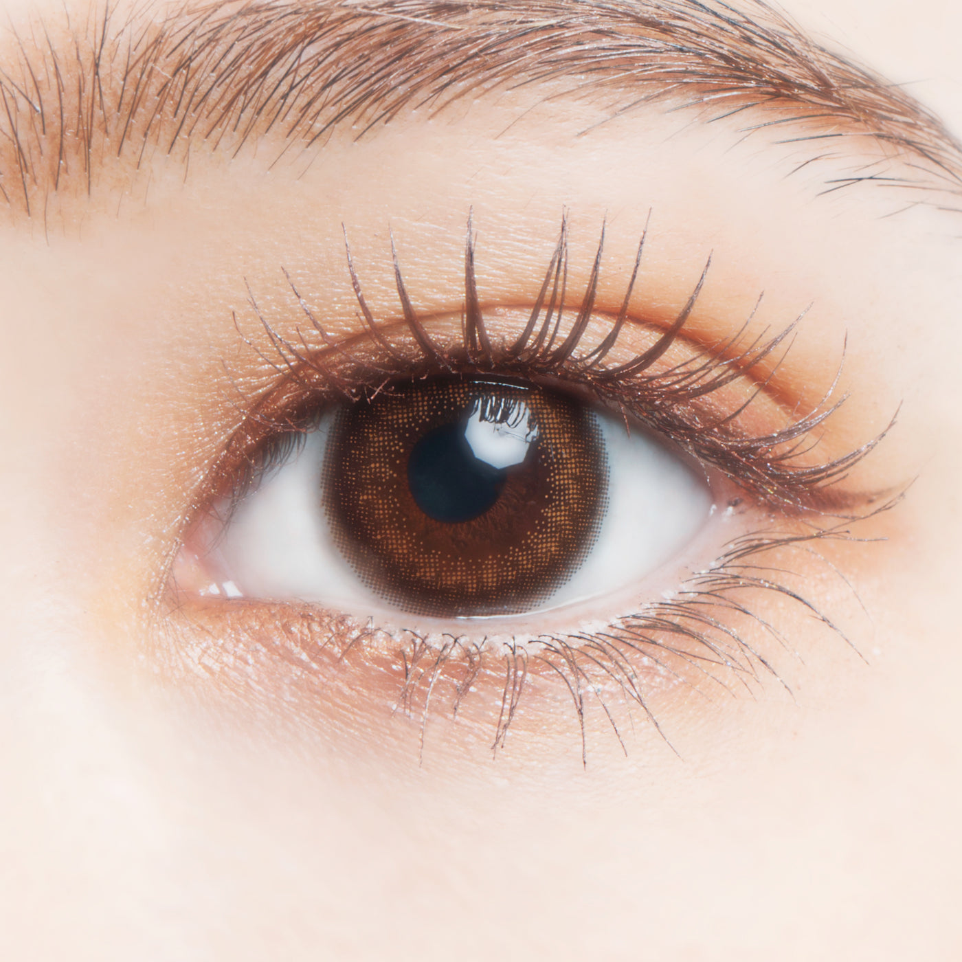 Holographic dahlia | Holographic dahlia 1day DIA 14.2mm - U.P.D. | App ...