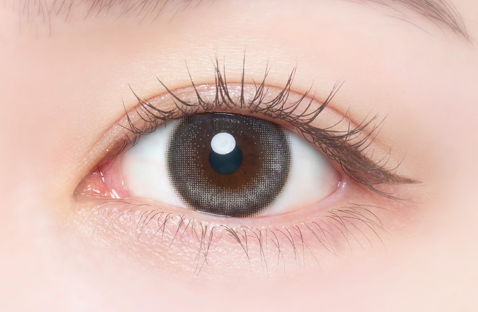 Salty Vanilla Toric Lens [FLANMY] | 1day Colored Contact Lens - DIA 14 ...