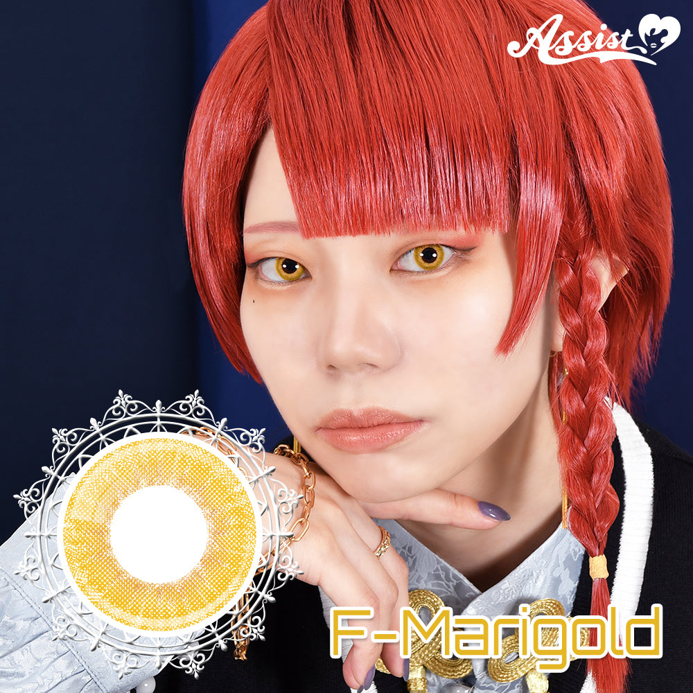 F Marigold [Favil] | 1day Colored Contact Lens - DIA 14.0mm | Push!Color