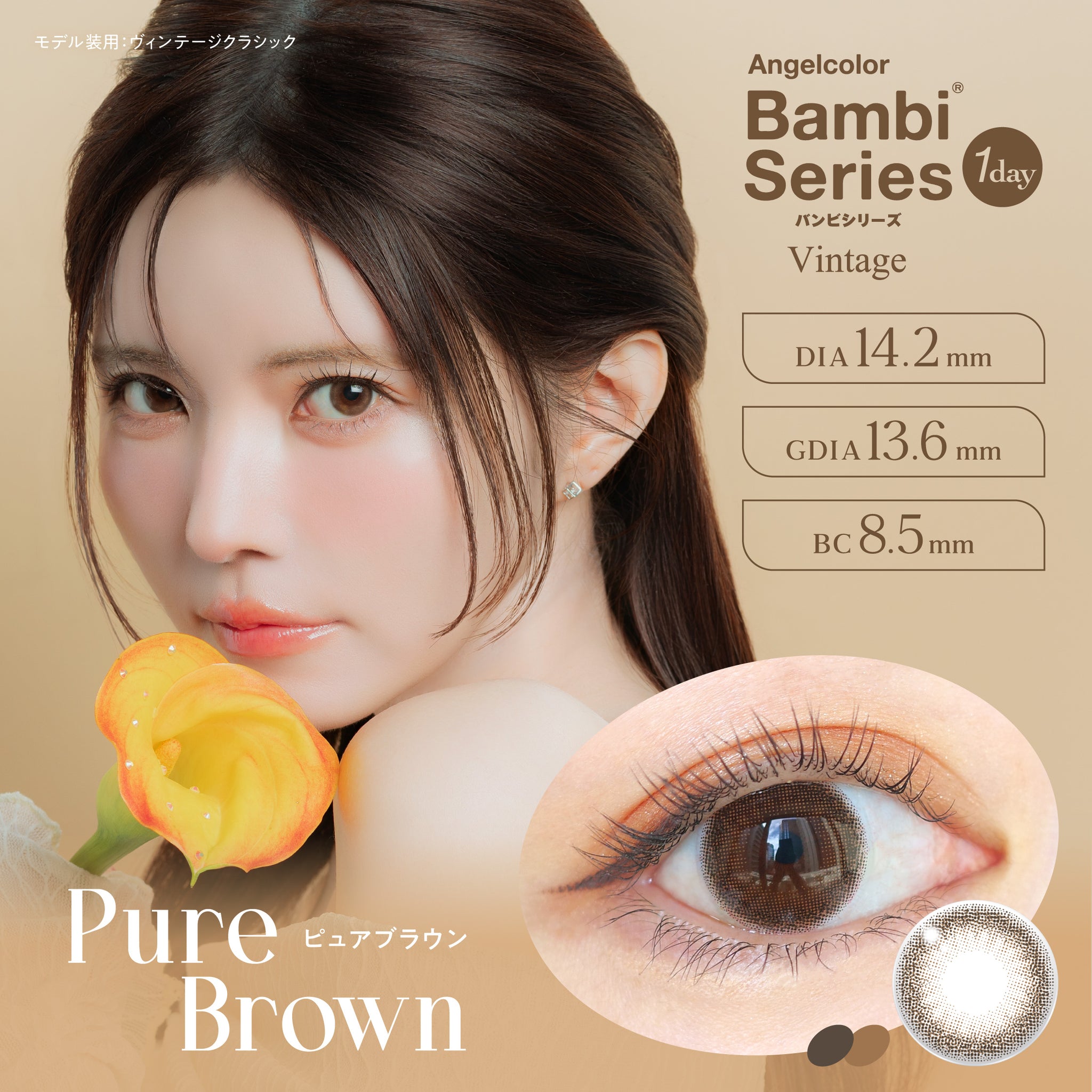 Pure Brown [Bambi Series] | 1day Colored Contact Lens - DIA 14.2mm ...