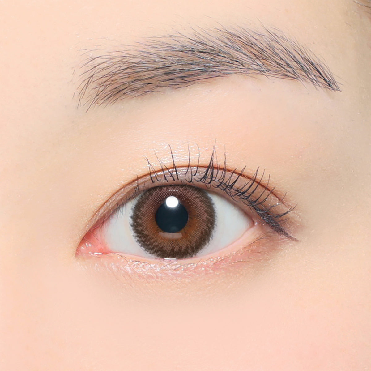 Hug Me | 1day DIA 14.1mm - ReVIA | Levia - Push!Color - Japan's Color ...